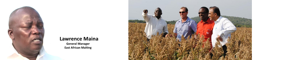 Kenya: New sorghum variety to replace traditional raw materials for beer | inside Getränke ...